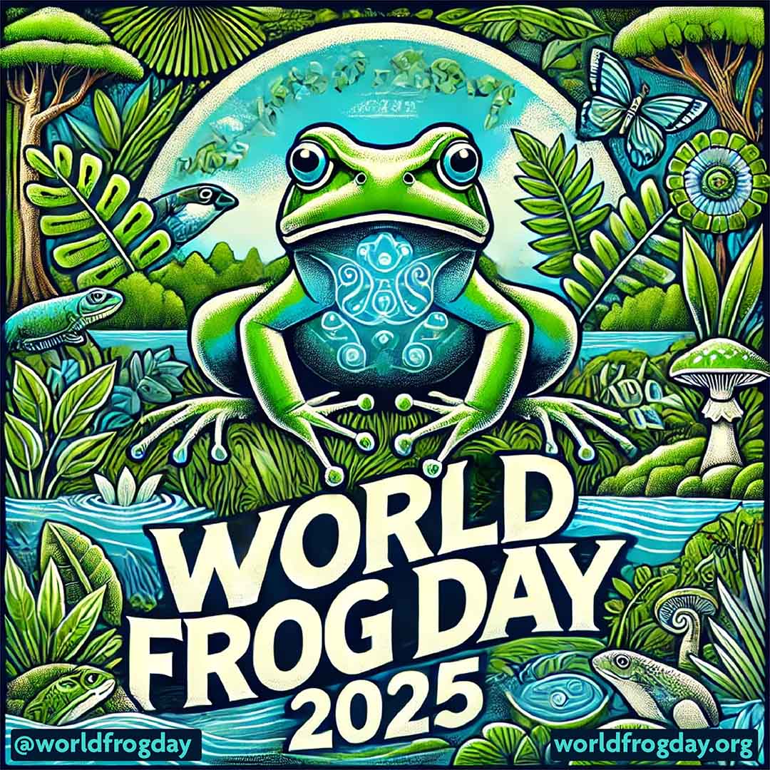 World Frog Day - March 20th Every Year - SAVE THE FROGS!